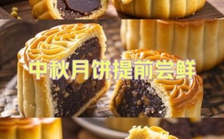 莲蓉蛋黄月饼君之做法_为什么烤完会裂