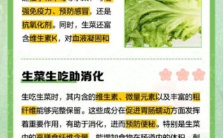 生菜的功效与禁忌_哪些人不能吃生菜