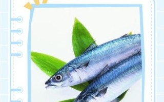 鲅鱼一洗肉就碎怎么办_鲅鱼肉易碎原因
