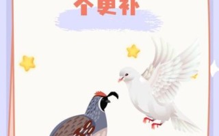 鹌鹑和鸽子的区别_哪个更适合家庭养殖