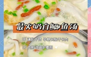 鲫鱼汤怎么做才白_鲫鱼汤去腥小窍门
