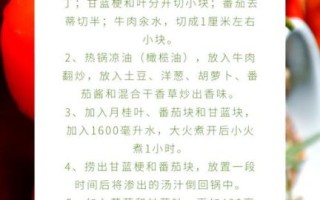 罗宋汤用什么牛肉_罗宋汤正宗配料表