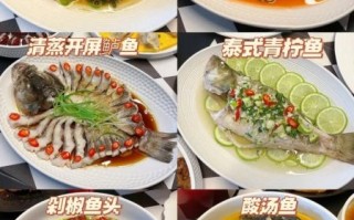 鱼的40种做法怎么做_家常鱼菜哪种最好吃