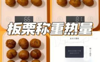 栗子热量相当于多少米饭_减肥能吃吗