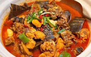 甲鱼和什么一起炖好吃_甲鱼炖汤最佳搭配