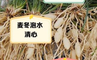 麦冬泡水喝的功效与作用_适合什么人喝 麦冬泡水喝的功效与作用_适合什么人喝