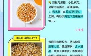 爆米花玉米粒和普通玉米粒有什么区别_哪个更适合做爆米花