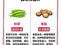 补肾蔬菜有哪些_补肾蔬菜排行榜10强