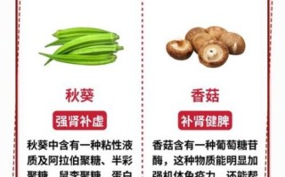 补肾蔬菜有哪些_补肾蔬菜排行榜10强