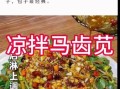 马齿苋怎么吃最好_马齿苋的吃法有哪些