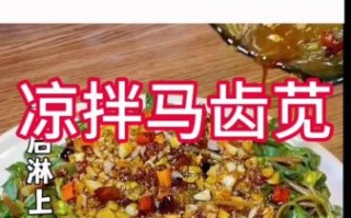 马齿苋怎么吃最好_马齿苋的吃法有哪些 马齿苋怎么吃最好_马齿苋的吃法有哪些
