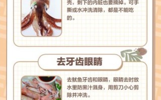 鲜鱿鱼怎么处理_如何去除腥味