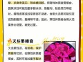 火龙果是凉性还是热性_吃火龙果会上火吗