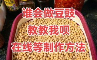 自制豆豉怎么做_豆豉发酵失败怎么办