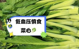 菜心的功效与作用禁忌_什么人不能吃菜心