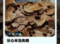 分心木的功效与作用_分心木怎么泡水喝