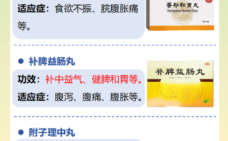 人参健脾丸适合什么人吃_人参健脾丸功效与作用