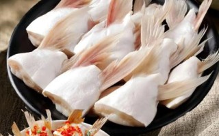 鲜鱼翅的家常做法_鲜鱼翅怎么做好吃