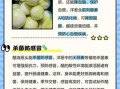 葱头的功效与作用_葱头的害处有哪些