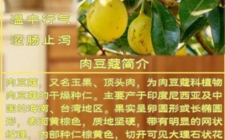 肉蔻的功效与作用是什么_肉蔻怎么吃才有效