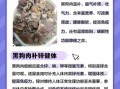 黑狗肉的功效与作用_黑狗肉补肾吗