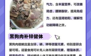 黑狗肉的功效与作用_黑狗肉补肾吗