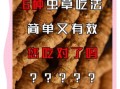 虫草的功效与作用及食用方法_虫草怎么吃效果最好