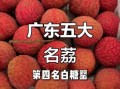 广东荔枝品种有哪些_哪种最好吃
