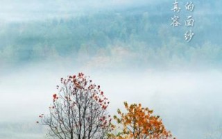 立冬唯美意境图片怎么拍_立冬意境图拍摄技巧