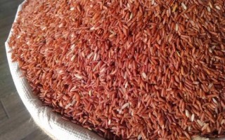 红曲米哪里能买到_红曲米哪个牌子好