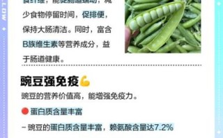 豌豆的营养价值与禁忌_豌豆不能和什么一起吃