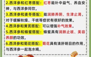 西洋参泡水怎么泡_西洋参泡水一次放多少