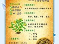 铁皮石斛花怎么吃_铁皮石斛花的功效与作用