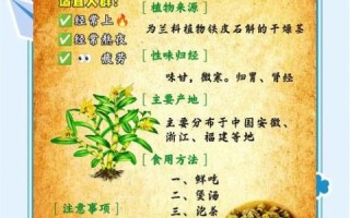 铁皮石斛花怎么吃_铁皮石斛花的功效与作用