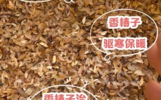 香椿籽的功效与作用_香椿籽怎么吃效果好