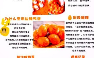 自制咸鸭蛋的做法窍门_咸鸭蛋出油秘诀