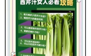 芹菜汁怎么喝_芹菜汁什么时候喝最好 芹菜汁怎么喝_芹菜汁什么时候喝最好