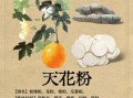 天花粉的功效与作用禁忌_孕妇能吃吗