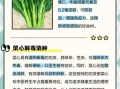 菜心的功效与作用_菜心怎么吃最营养