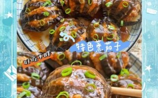 圆茄子怎么做好吃_家常圆茄子做法
