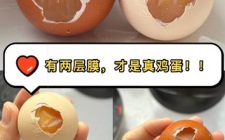 假鸡蛋炒出来什么样子_如何一眼识别假鸡蛋