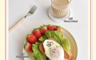 上班族早餐食谱简单快速做法_5分钟搞定营养早餐