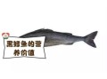 黑鳕鱼和银鳕鱼的区别_哪个更好吃