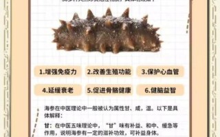 海参怎么吃最营养_海参的功效有哪些