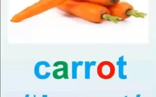 胡萝卜英语怎么读音_发音技巧详解