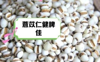 小薏米有什么功效与作用_怎么吃才祛湿健脾