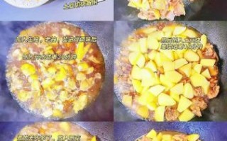 土豆炖鸡肉汤怎么做_家常做法窍门