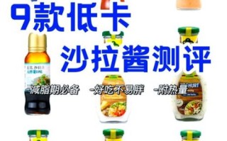 沙拉酱会长胖吗_低卡沙拉酱推荐