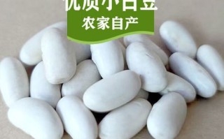 白芸豆怎么煮才软糯_白芸豆做法大全图解