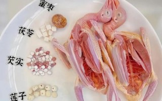 白鸽汤怎么做适合小孩喝_小孩喝白鸽汤的做法